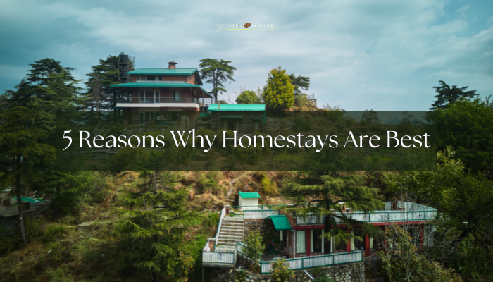5 Reasons Why Staying in a Homestay Makes your Vacation Better | Blog
